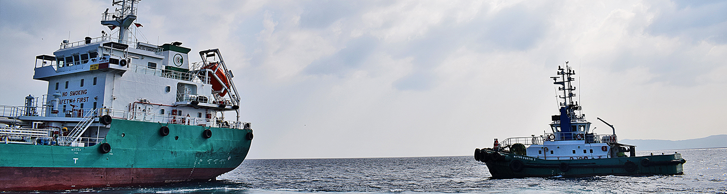 Who We Are – Chelsea Logistics Holdings Corp.